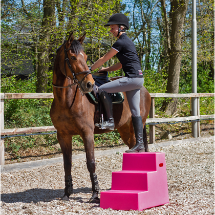 Marche Pied 3 marches